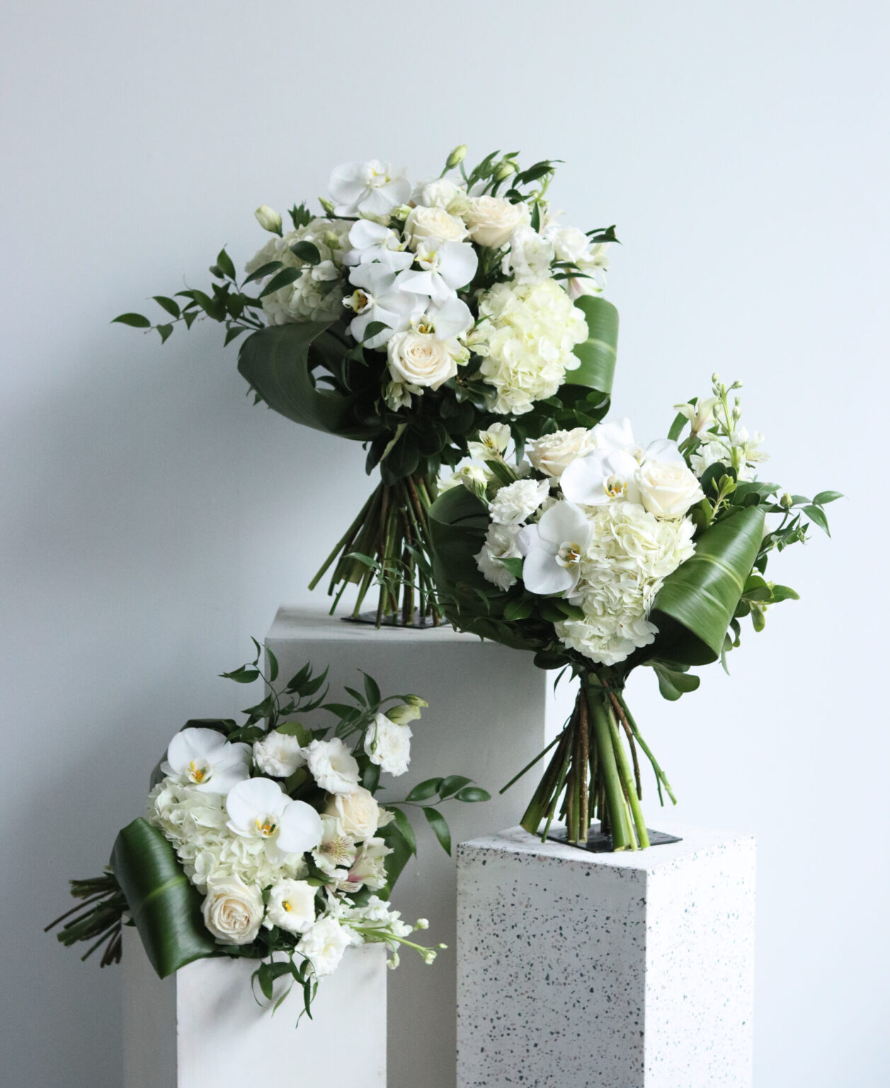 PistilFlowers | Toronto Downtown Florists