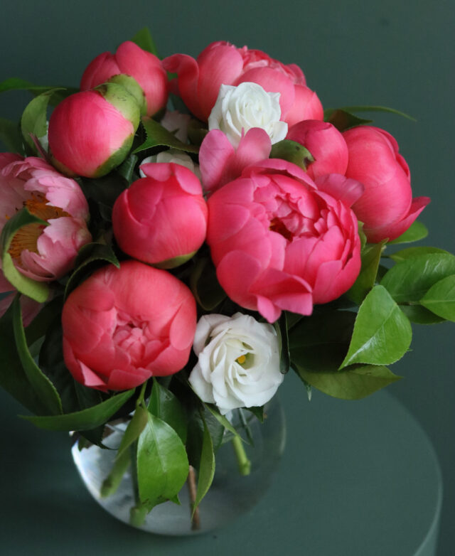 Pocket Posies ® | PistilFlowers