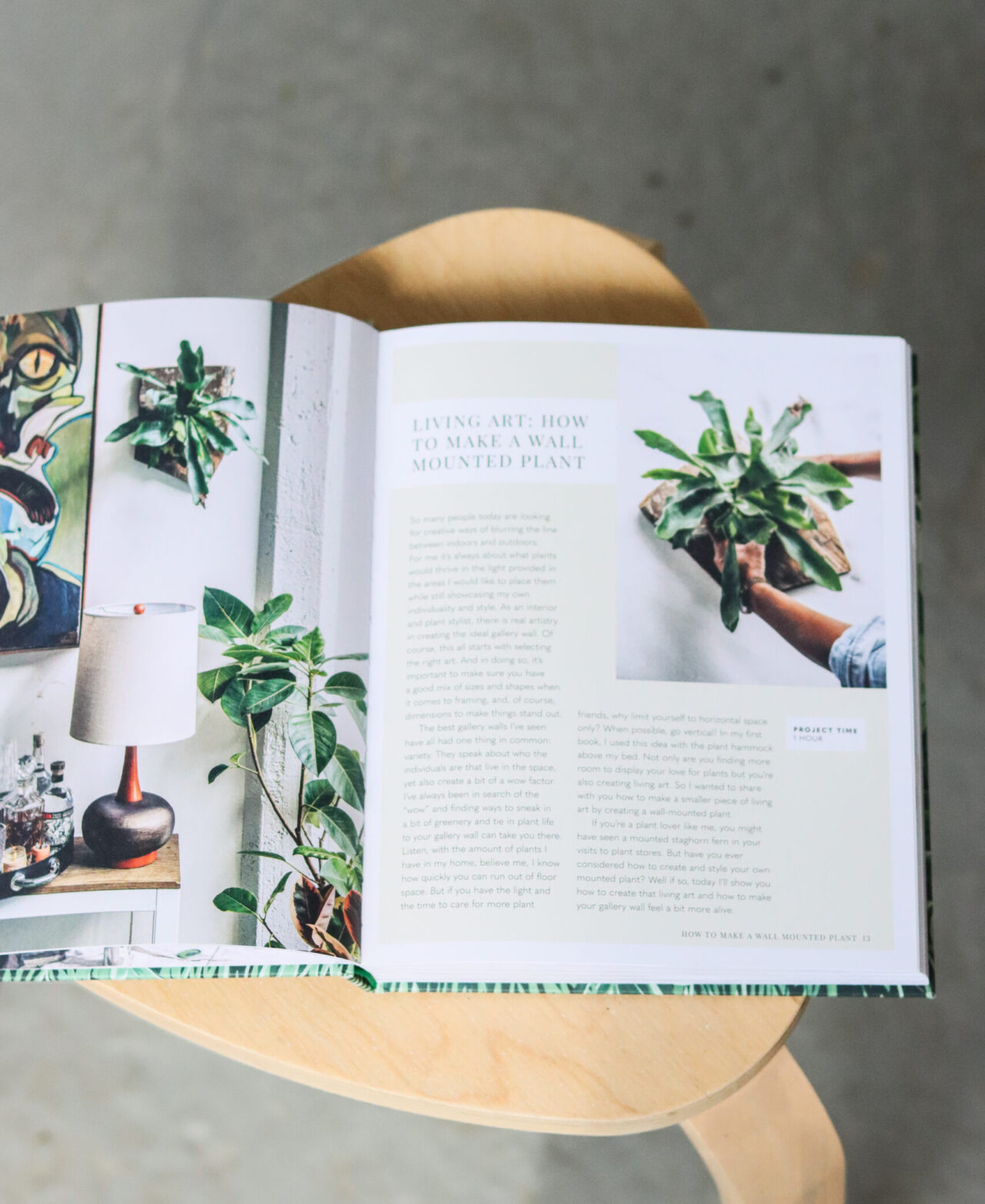 wild creations | PistilFlowers