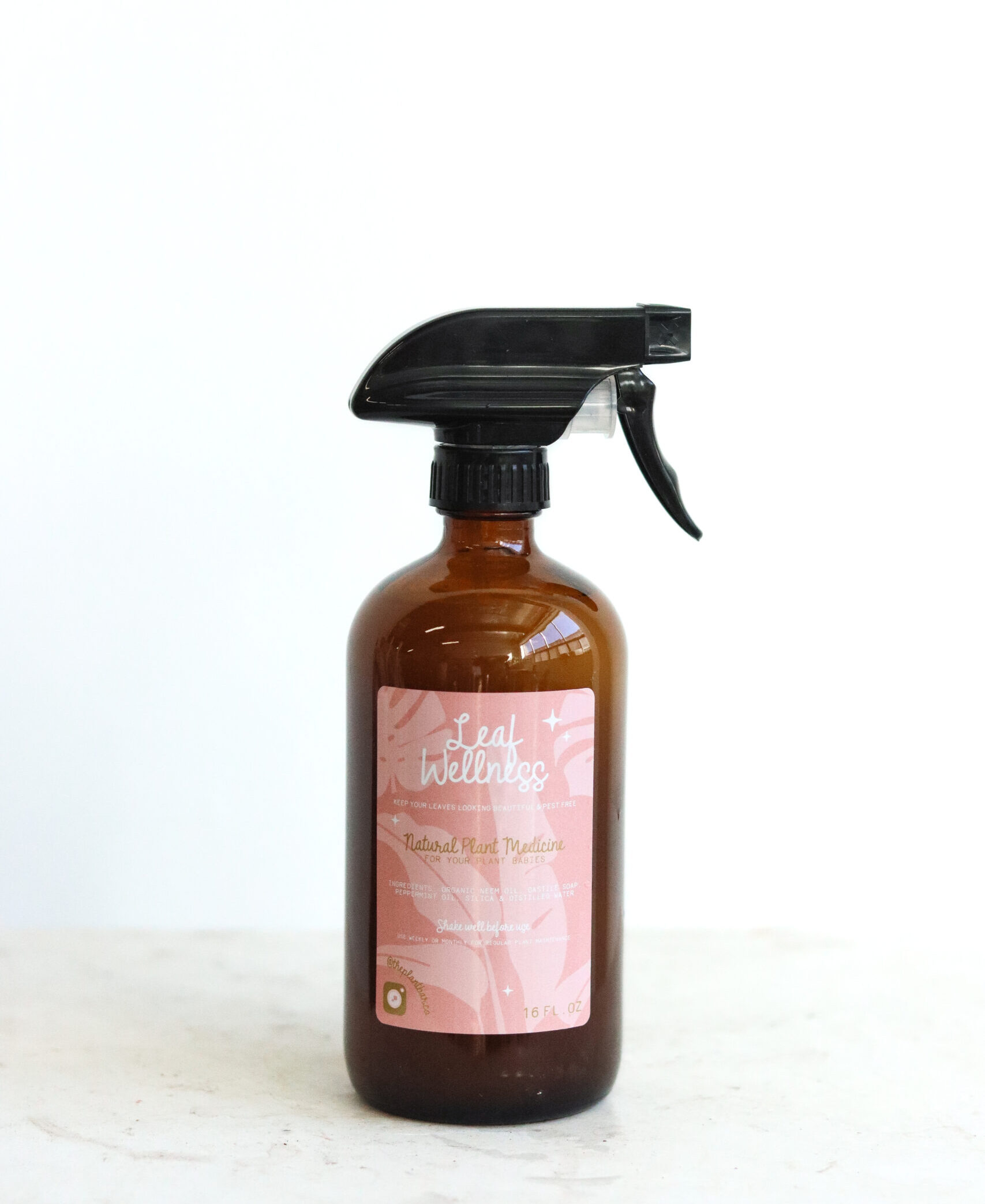 leaf wellness plant spray | PistilFlowers