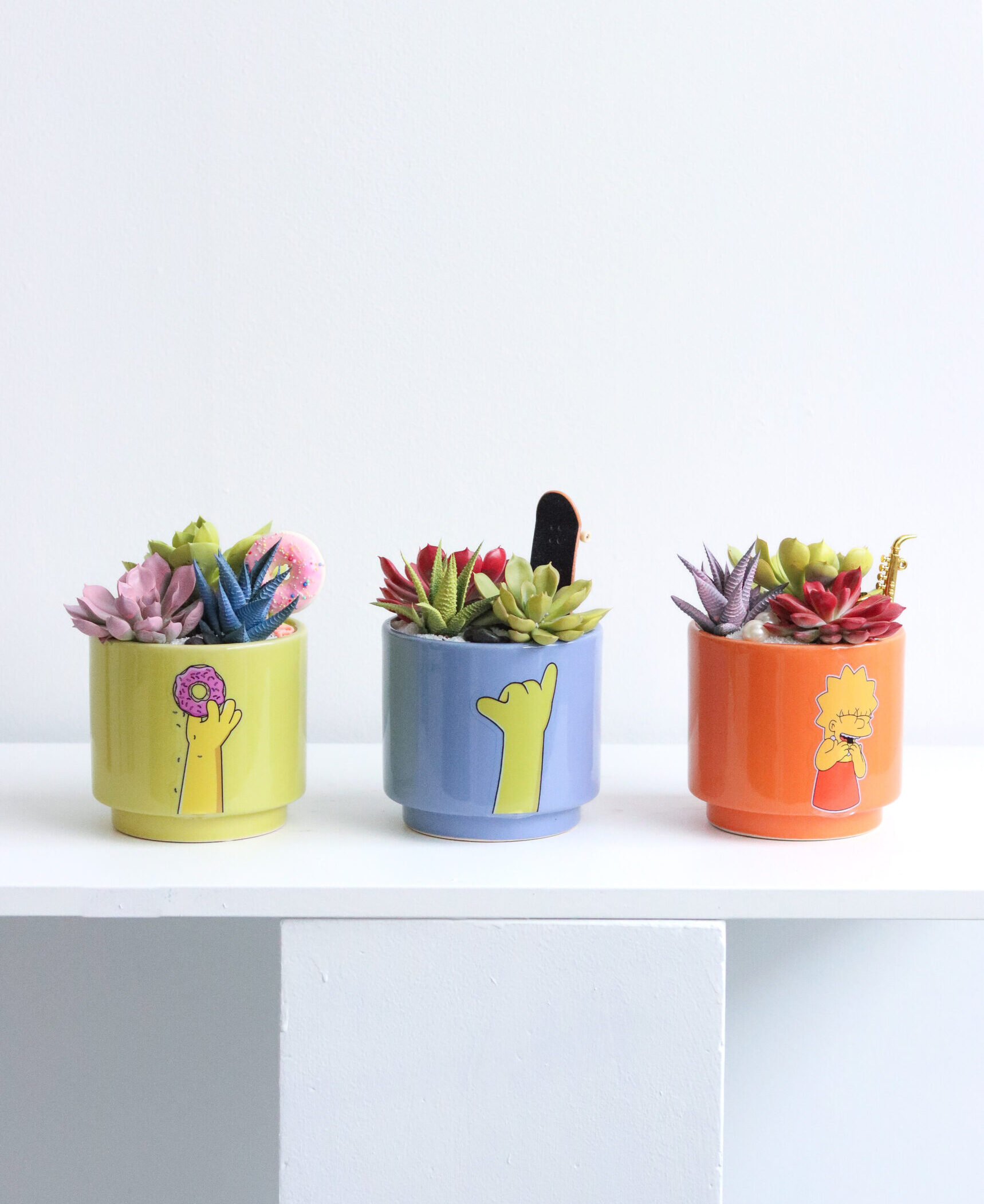 Welcome to Springfield Succulent Garden | PistilFlowers